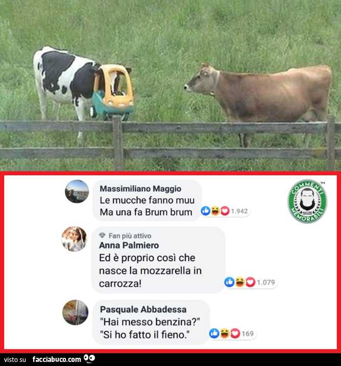 Tutti i meme sulle Mucche - Facciabuco.com