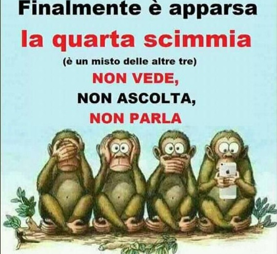 Tutti i meme sulle Scimmie - Facciabuco.com