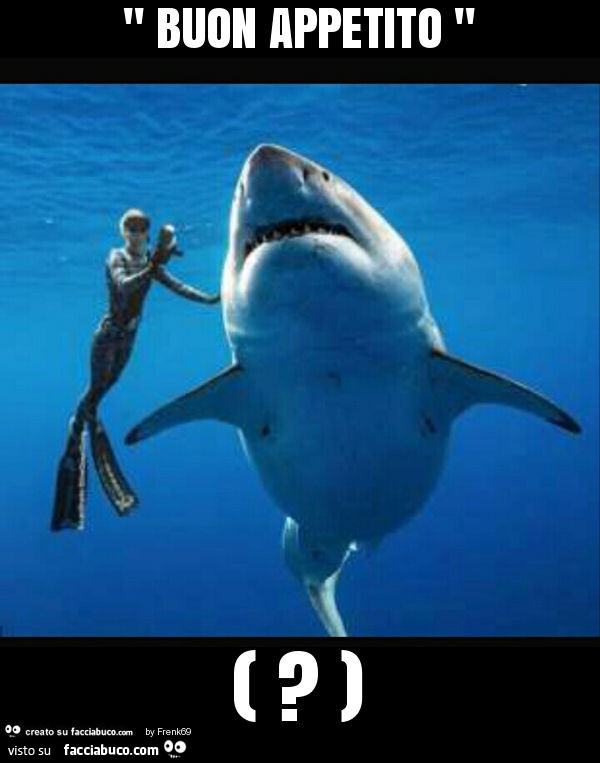 Tutti i meme sugli Squali - Facciabuco.com