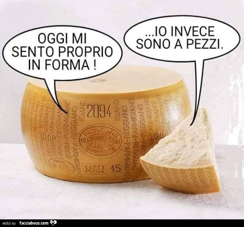 Tutti i meme su Parmigiano e Grana - Facciabuco.com