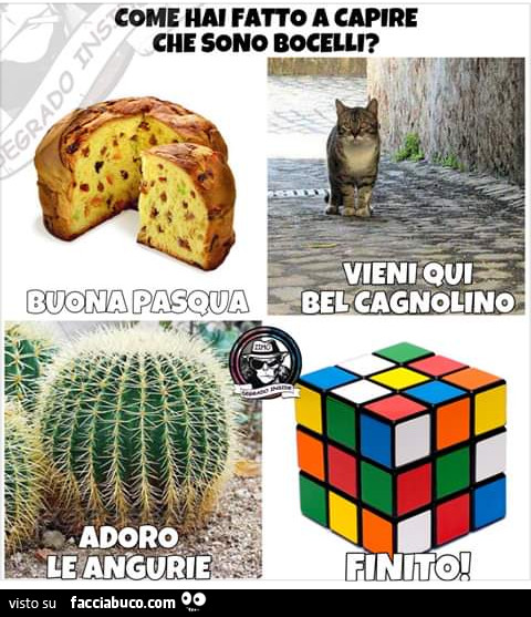 Tutti i meme su Andrea Bocelli - Facciabuco.com