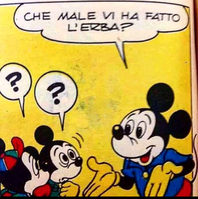 Tutti i meme su Topolino - Facciabuco.com