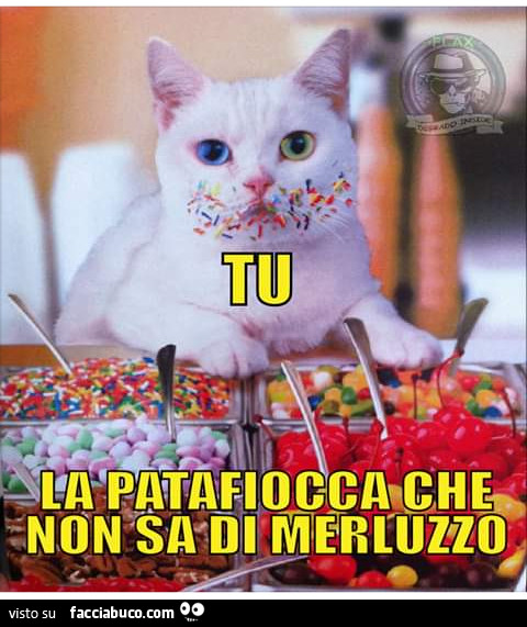Tutti i meme sulla Patafiocca - Facciabuco.com