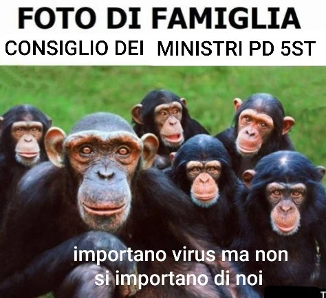 Tutti i meme sulle Scimmie - Facciabuco.com