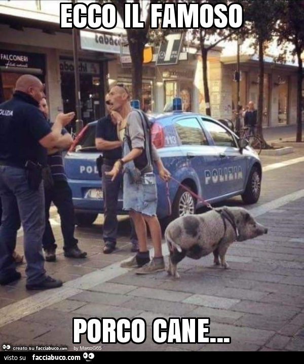 Ecco il famoso porco cane - Facciabuco.com
