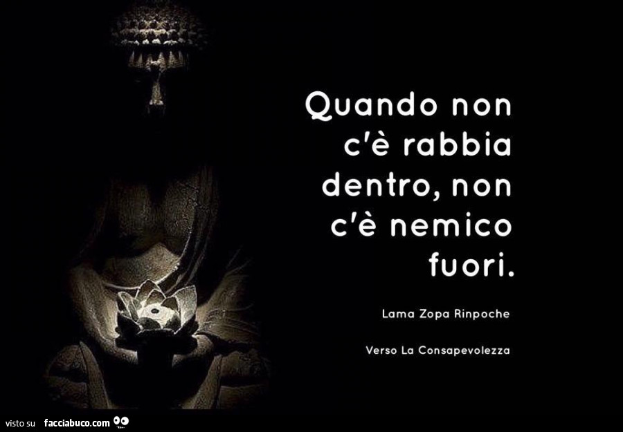 Tutti i meme su Rabbia - Facciabuco.com