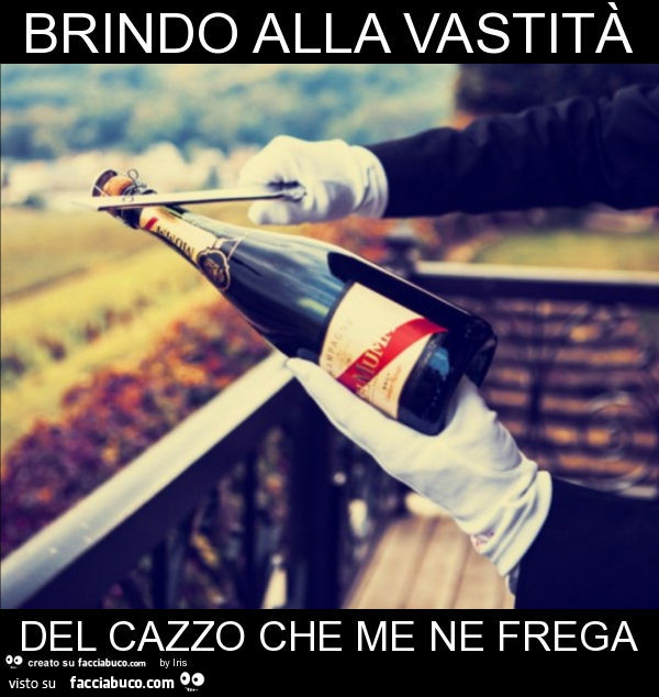 Brindo alla vastità del cazzo che me ne frega - Facciabuco.com