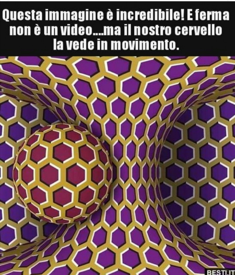 Tutti i meme su Immagini distorte - Facciabuco.com