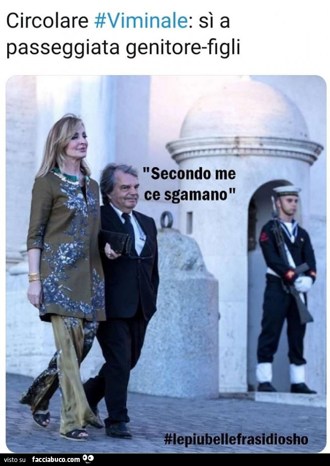Tutti i meme su Renato Brunetta - Facciabuco.com