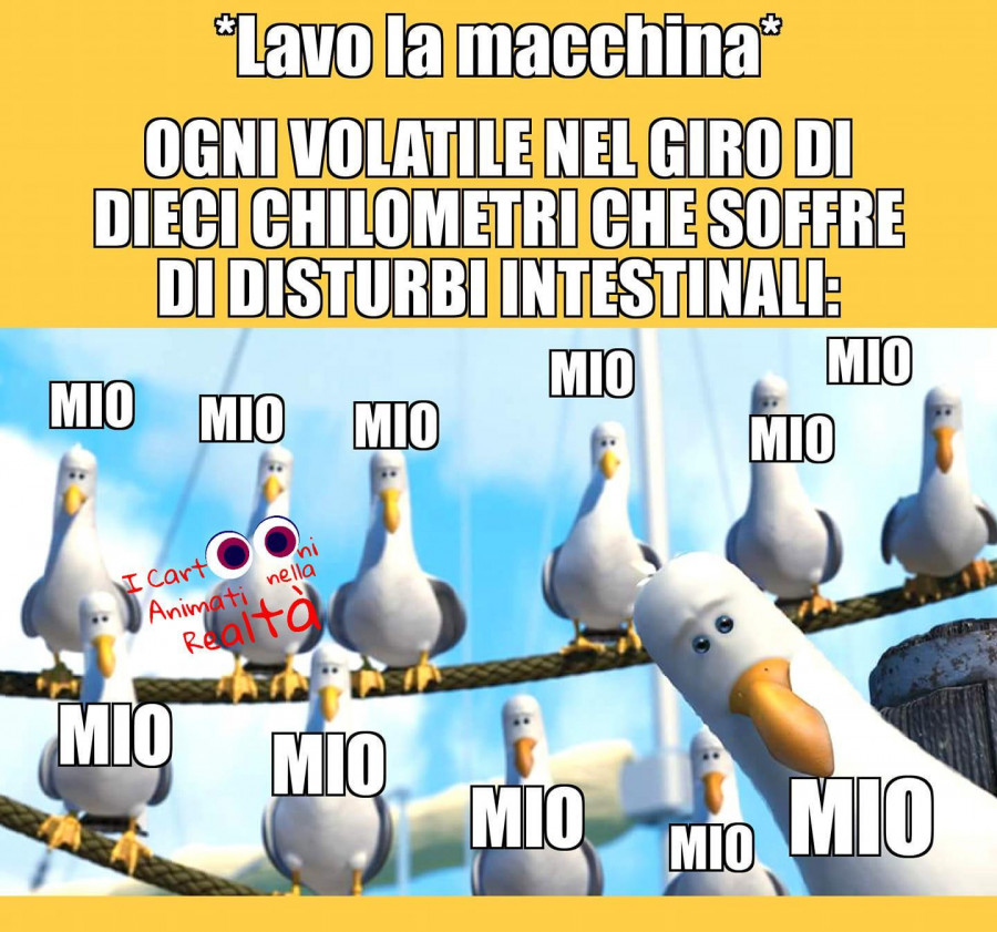 Tutti i meme sulla Cacca - Facciabuco.com