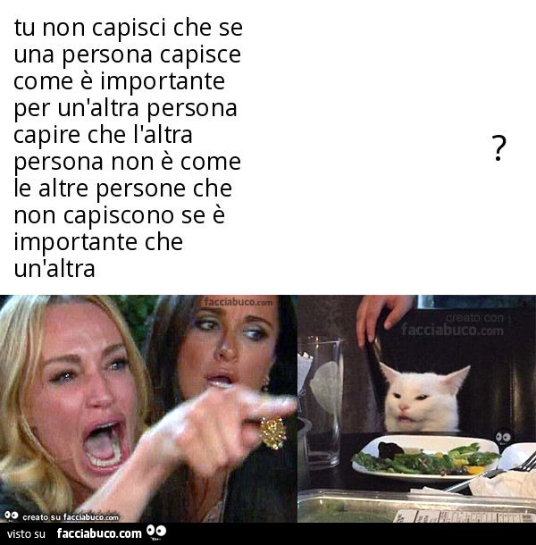 Tu non capisci che se una persona capisce come è importante per un ...