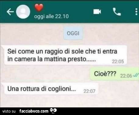 Anche poeta...… vaccata pubblicata da picatwo - Facciabuco.com
