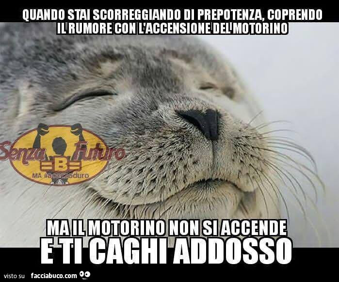 Tutti i meme sulle Scoregge - Facciabuco.com