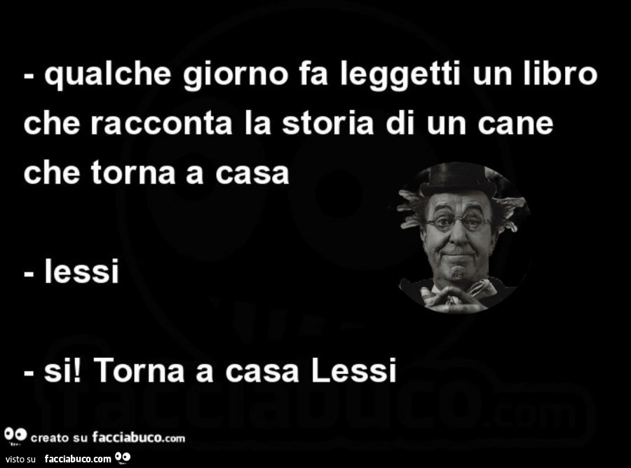 Qualche giorno fa leggetti un libro che racconta la storia di un cane ...