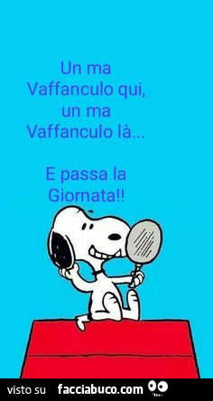 Un ma vaffanculo qui, un ma vaffanculo là… e passa la giornata ...
