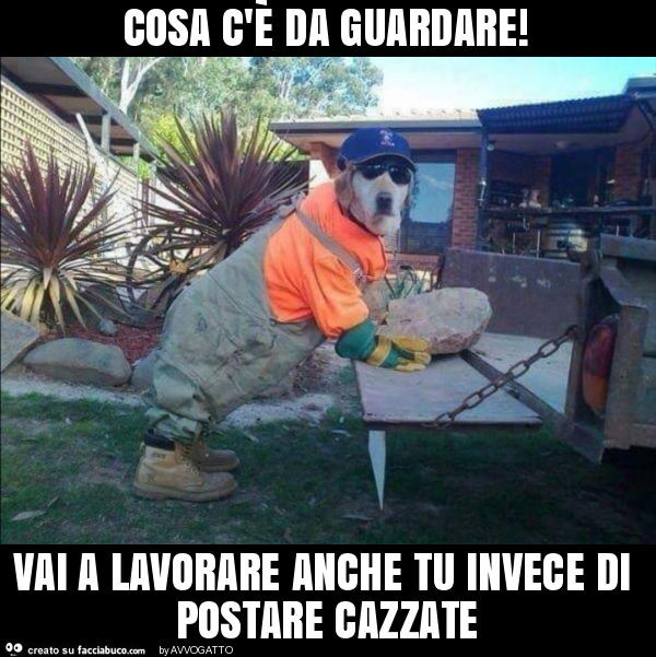 Tutti i meme sui Muratori - Facciabuco.com