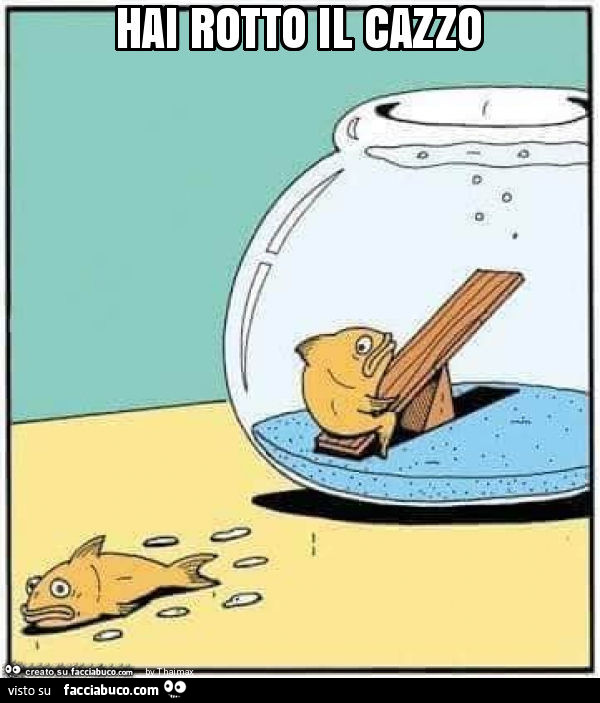 Hai rotto il cazzo - Facciabuco.com