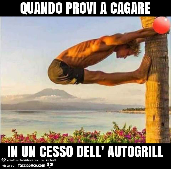 Quando provi a cagare in un cesso dell' autogrill - Facciabuco.com